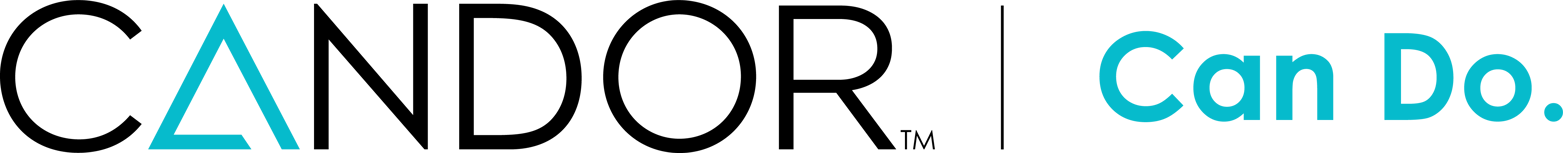 Candor Loan Engineering System